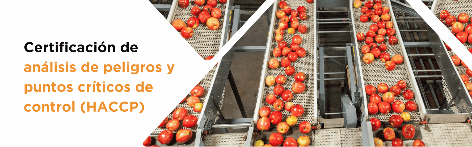 Análisis de Peligros y Puntos Críticos de Control (HACCP)